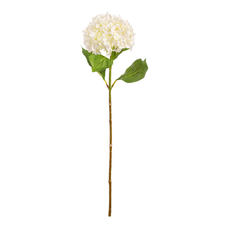 Homepage - Wholesale Florist Direct