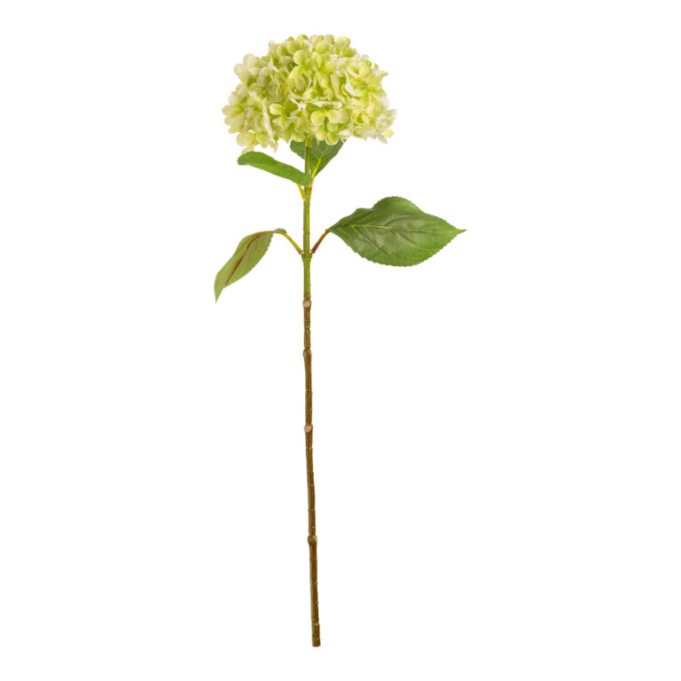 Homepage - Wholesale Florist Direct